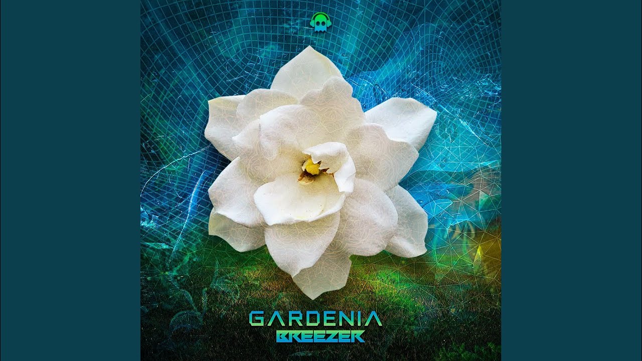 Gardenia (Original Mix) - YouTube