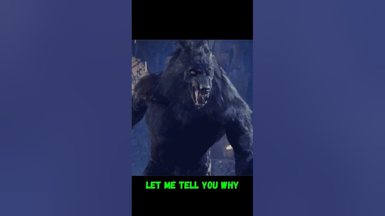 Best Halloween-Wolfman Song Ever! "The Wolf" by The Prowlers - YouTube