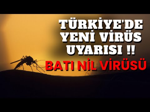 TÜRKİYE'DE YENİ VİRÜS UYARISI !! // BATI NİL VİRÜSÜ
