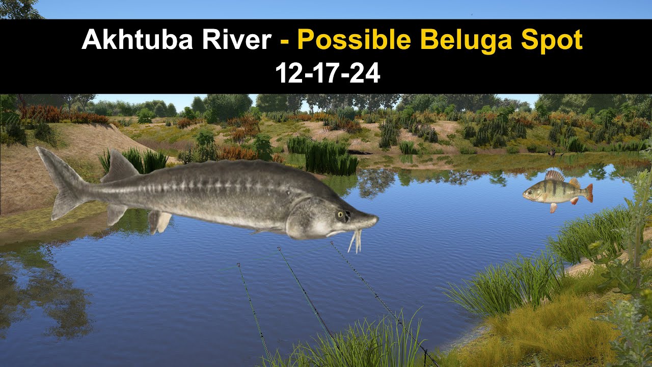 Russian Fishing 4, Akhtuba River - Possible Beluga Spot 12-17-24 - YouTube