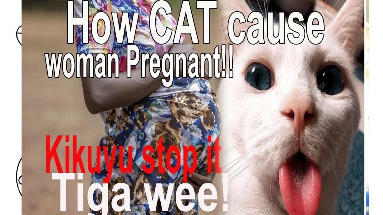 CATS ARE VERY DANGEROURS // EHERIA TUNYAU MUTURIRE-INI EP-01 - YouTube