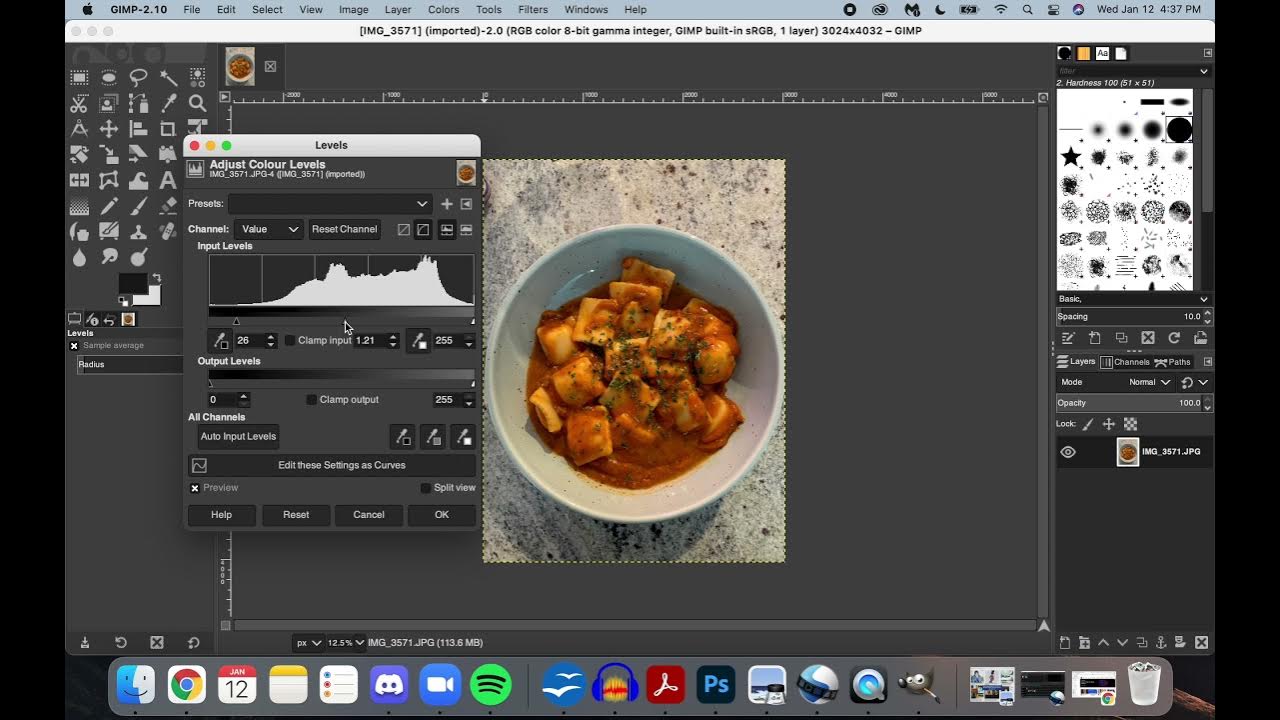 Gimp Tutorial: Raising contrast in a photograph; (Adjusting Levels and ...
