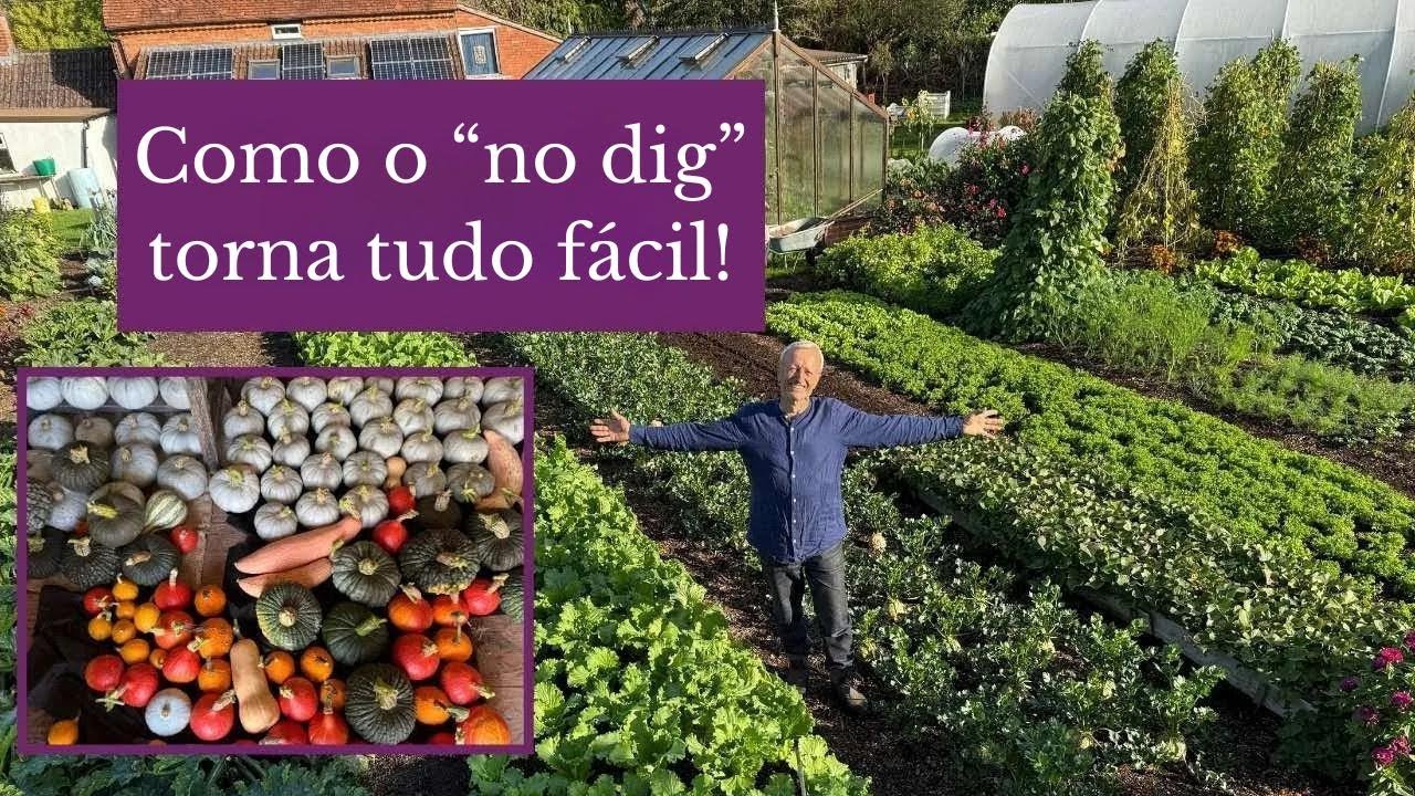 Solo sem revolver fica pronto para plantar de novo o verão inteiro ...