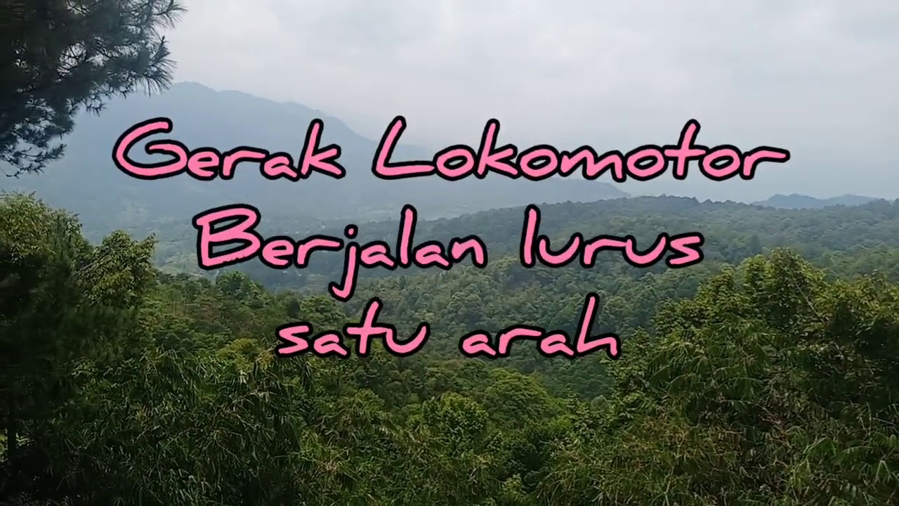 Tematik Kelas 1 Tema 4 Subtema 1 (Gerak Lokomotor Berjalan lurus satu ...
