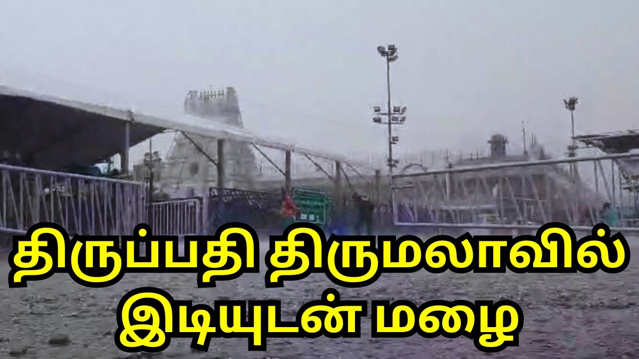 Heavy Rain at Tirumala Today | Tirupati Weather - YouTube