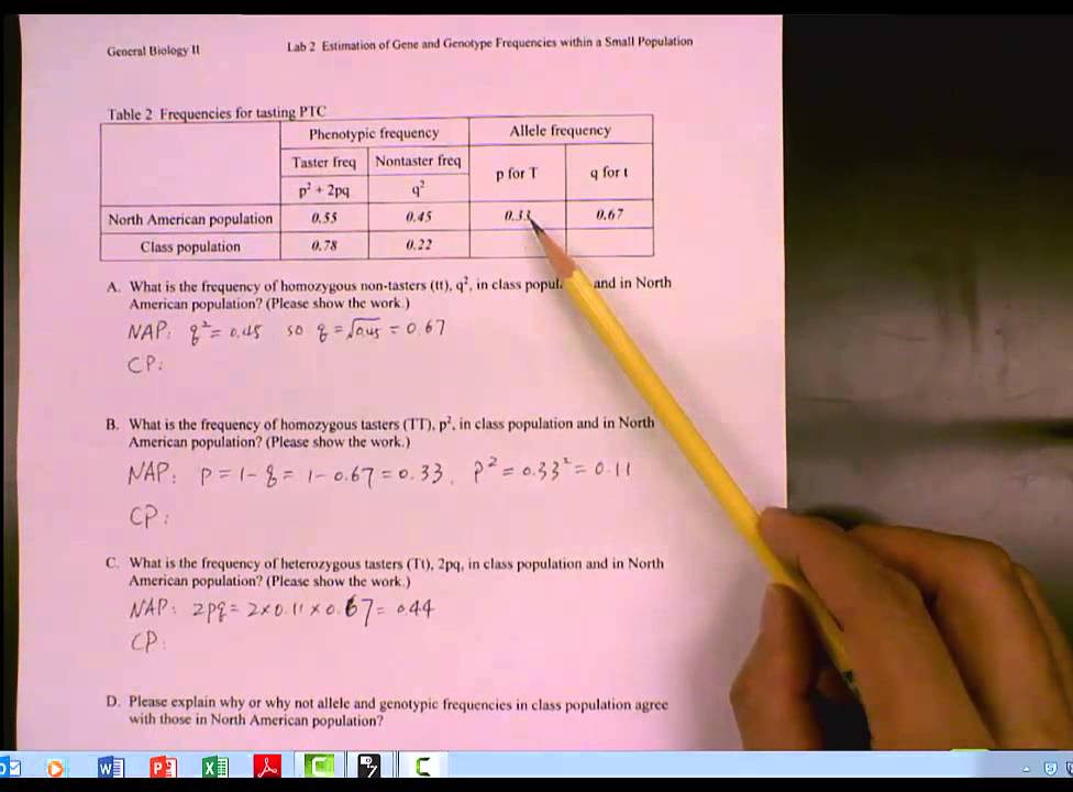Biology 2 Lab 8 Estimation of Gene and Genotype Frequencies within a ...