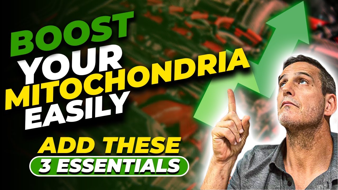 Boost Your Mitochondria Easily Add These 3 Essentials - YouTube