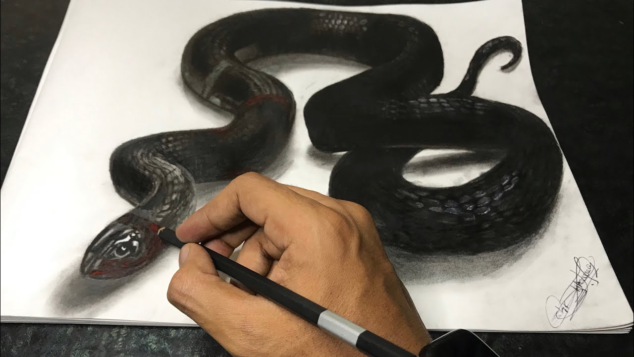 3D snake | 3D sketch | #shk fazz - YouTube