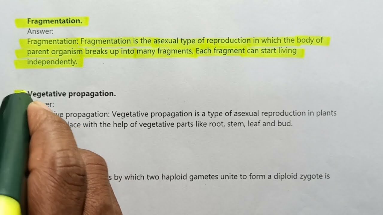 What Is Fragmentation Vegetative Propagation And Fertilization | Class ...
