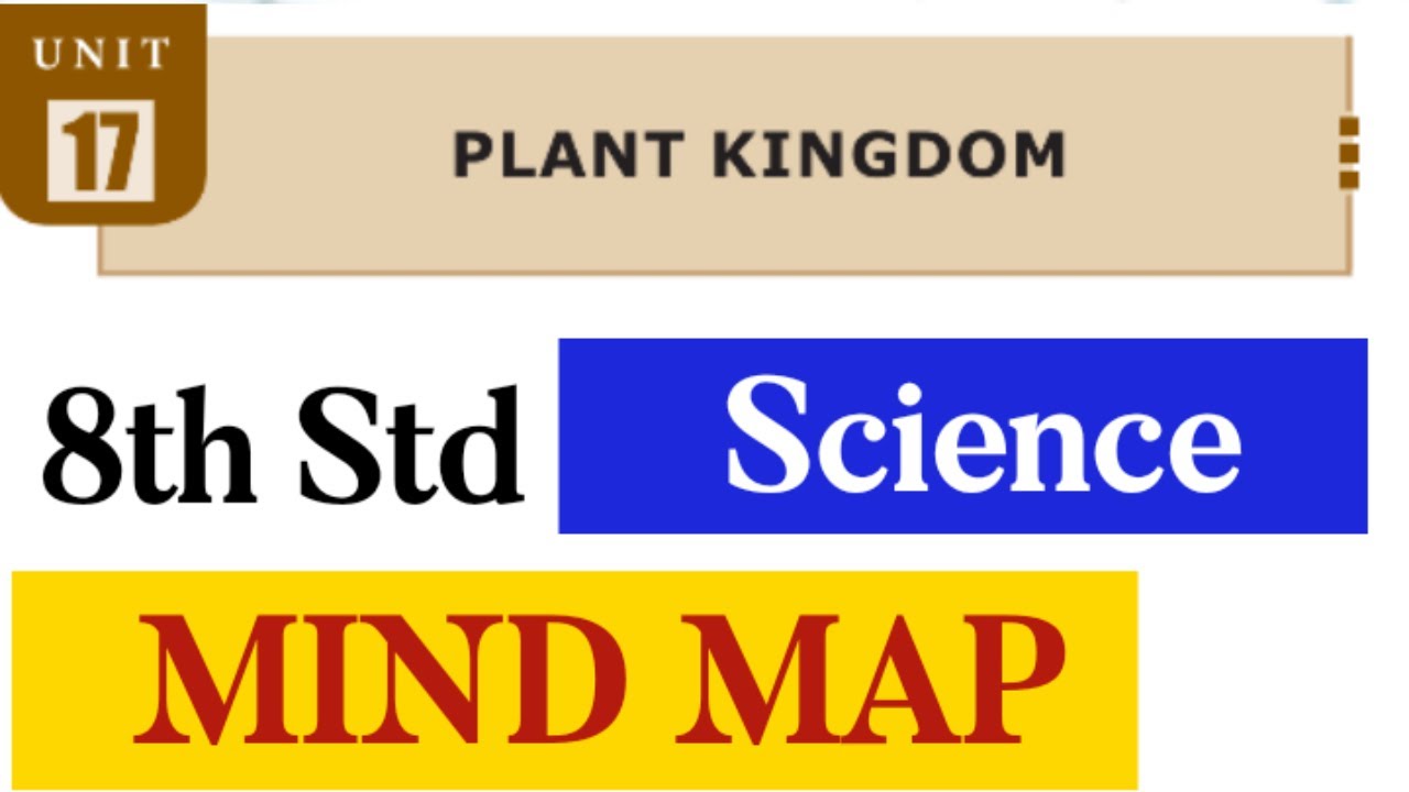 8th Std - Science | Unit 17 - Plant Kingdom | Mind Map - YouTube