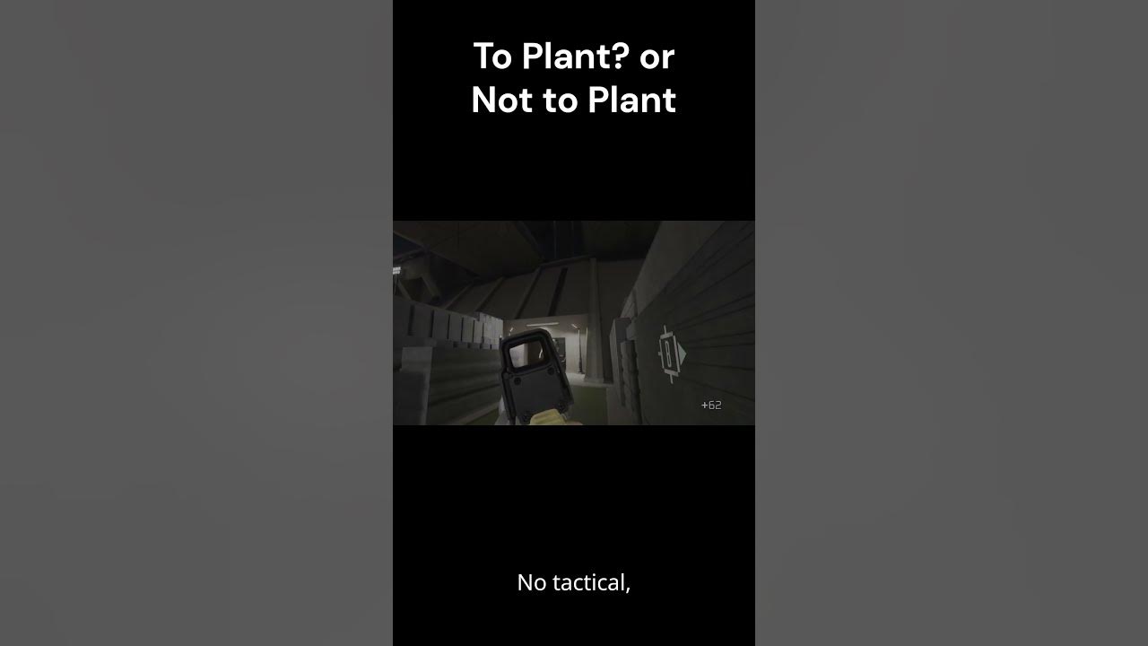 To plant or not to plant - YouTube