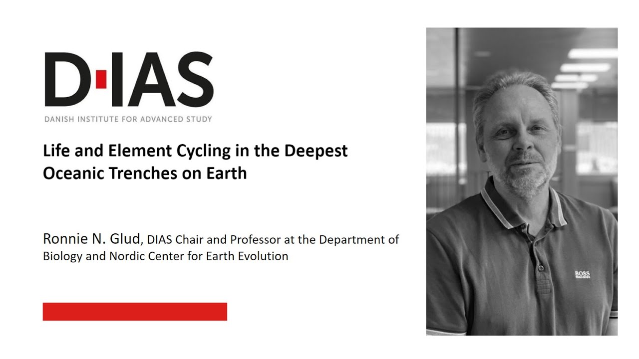 Ronnie N. Glud - Life and element cycling in the deepest oceanic ...
