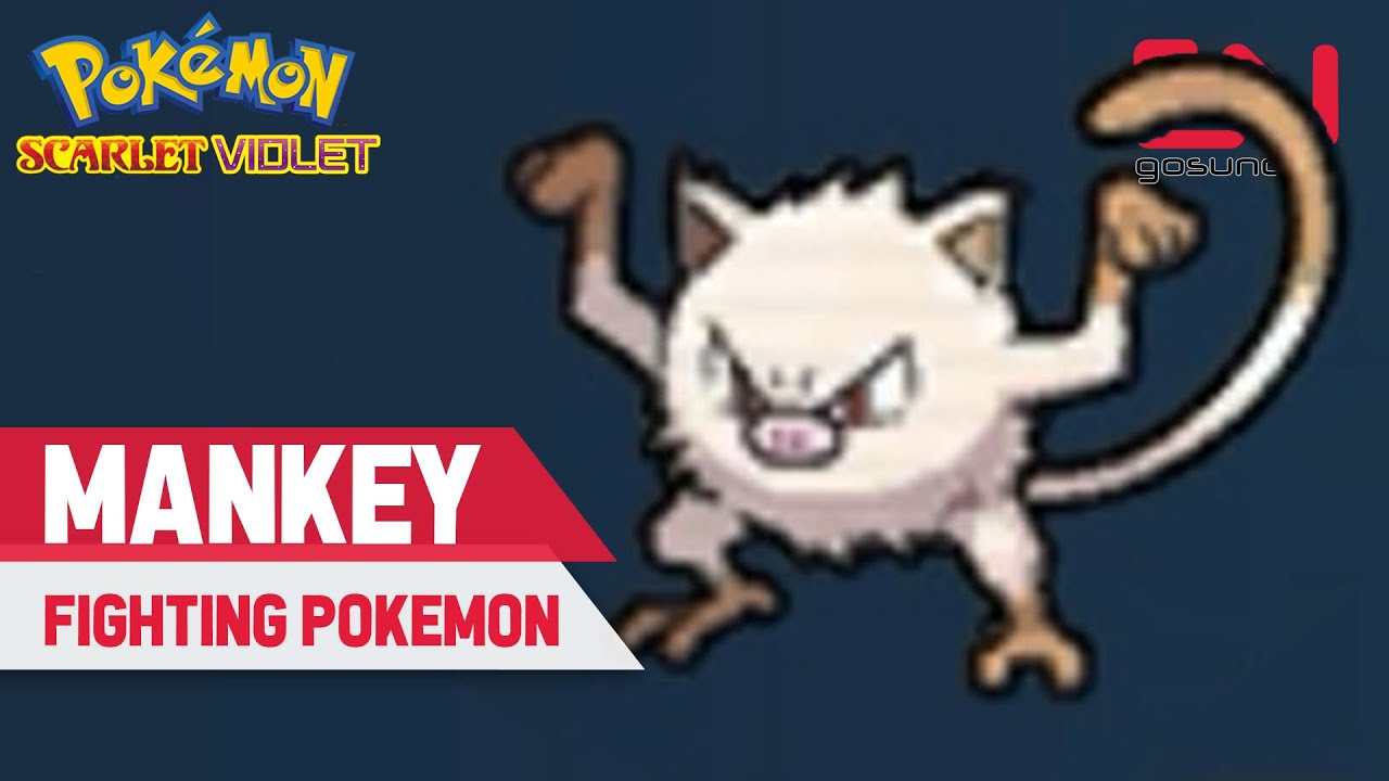 Fighting Pokemon Mankey