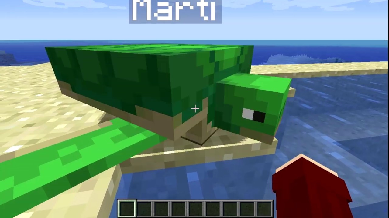 mi tortuga dice "ahhh" - YouTube