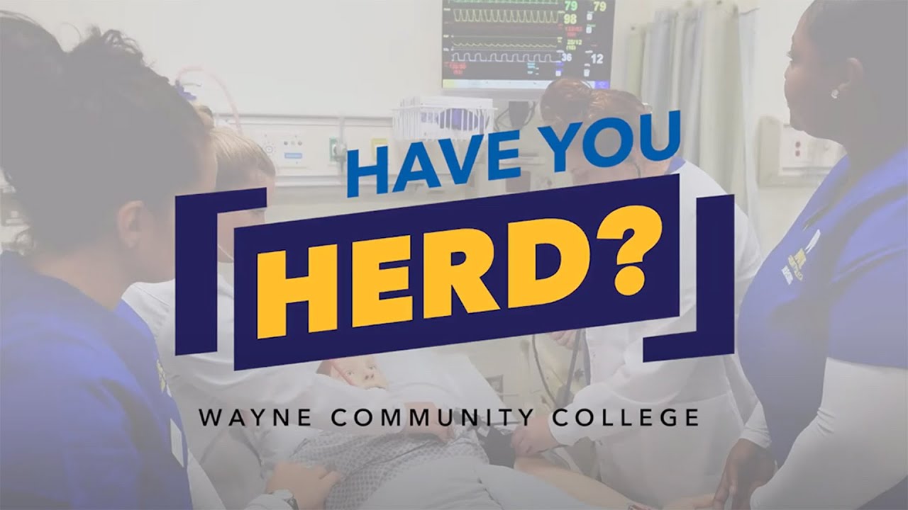 Have You Herd? Episode 6 - YouTube