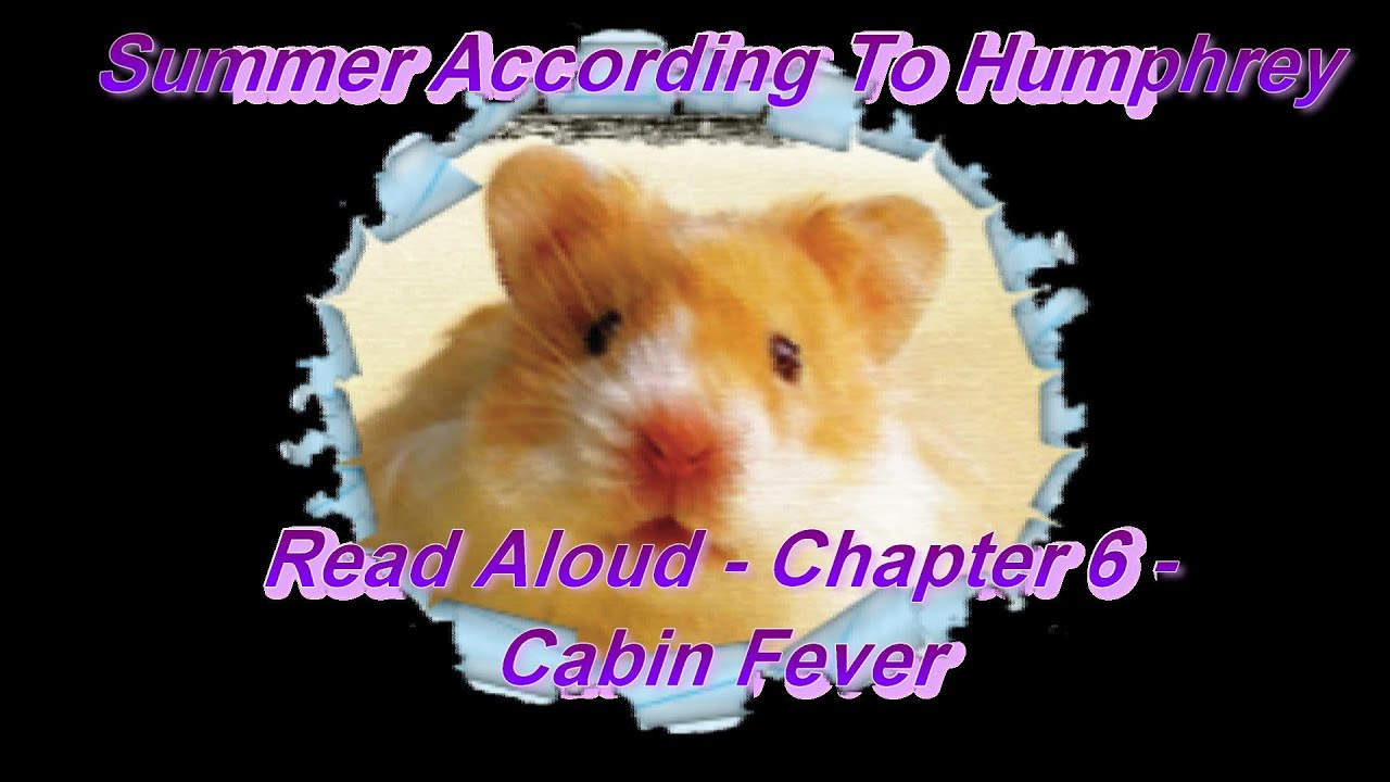 Summer According to Humphrey Read Aloud Chapter 6 - YouTube