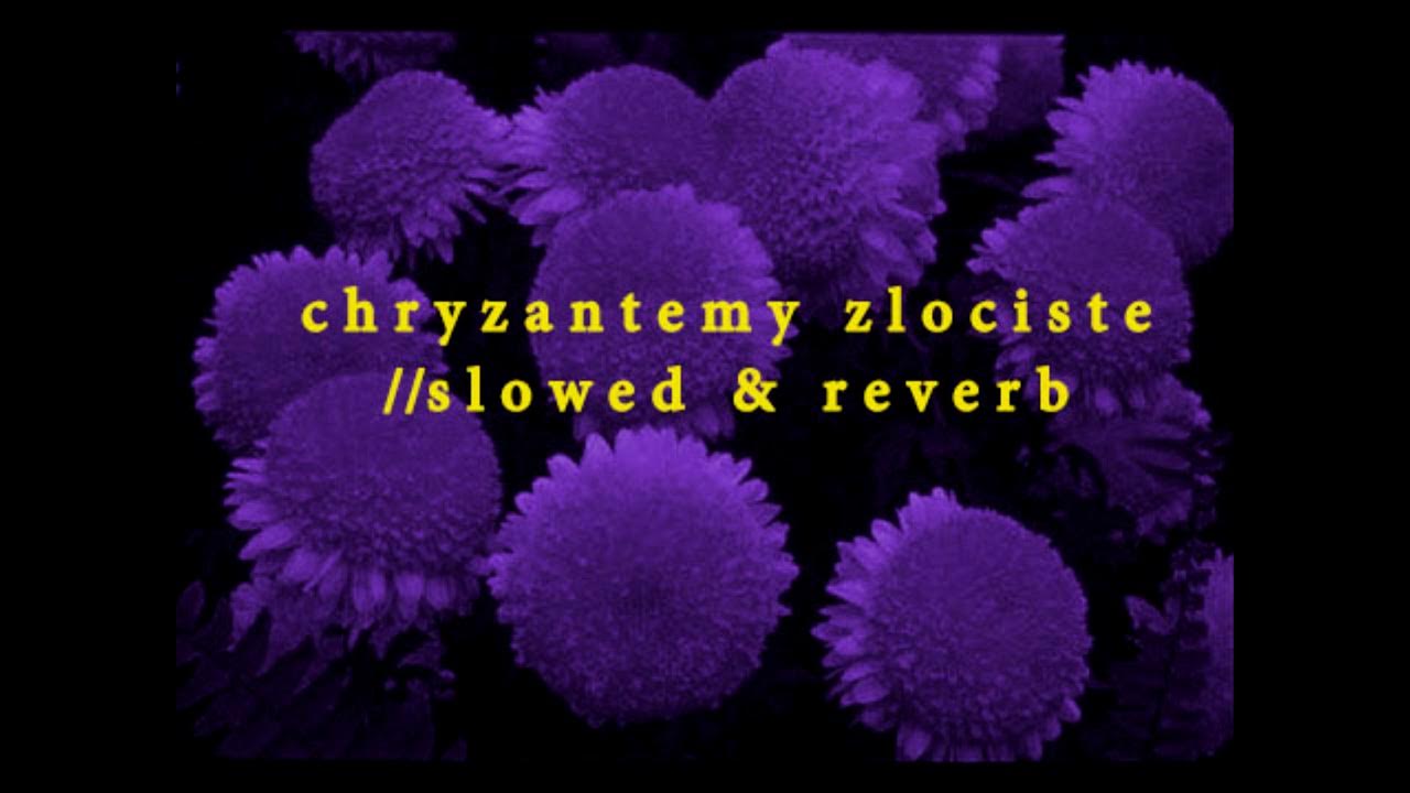 chryzantemy zlociste // slowed & reverb - YouTube