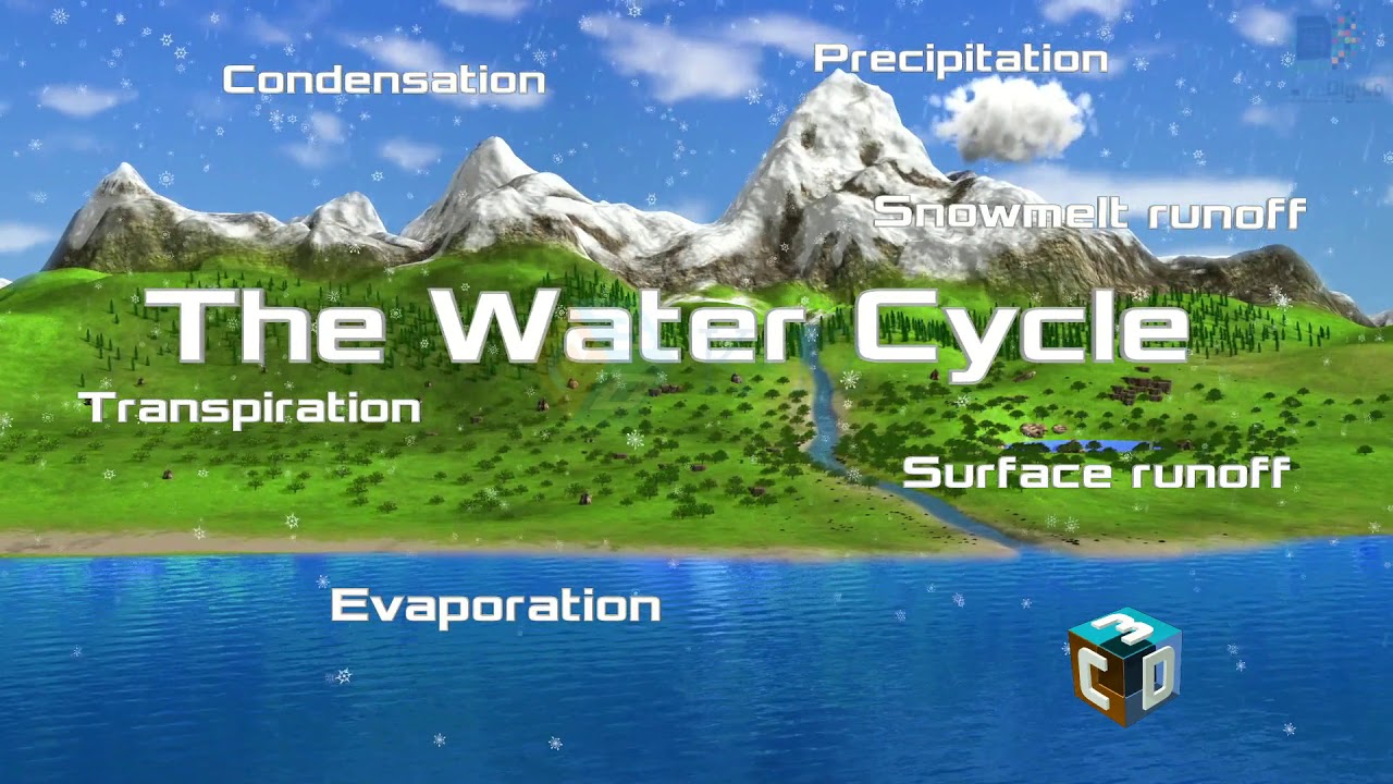 The continuous movement of water | Elementary content | Physical ...