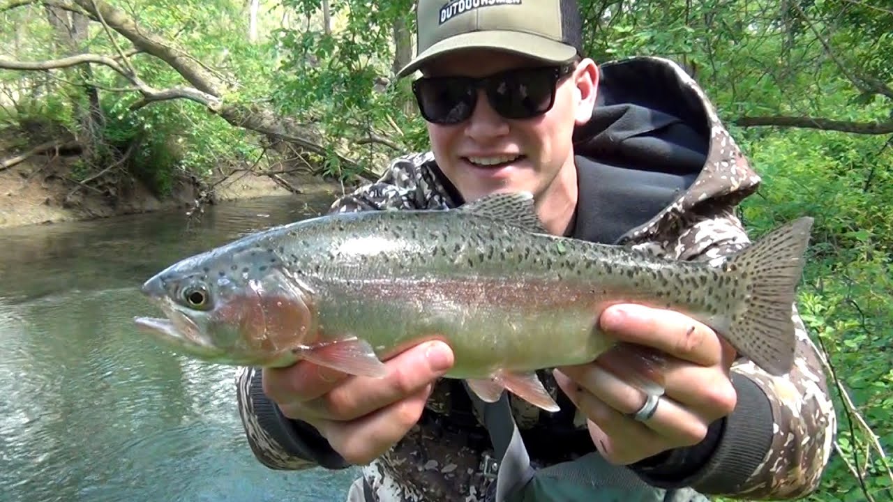 Small Creek Fishing for BIG Trout! - YouTube