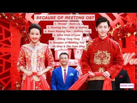 BECAUSE OF MEETING YOU OST | NHẠC PHIM BỞI VÌ GẶP ĐƯỢC EM FULL ALBUM