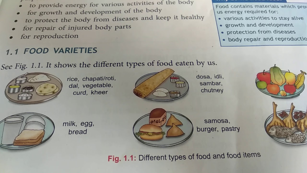 Science Book of class-6 (startup Science publication) - YouTube