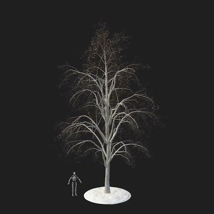 Birch Winter V1 Gamedev 3dmodeling Unity Unityassetstore Unityasset Speedtree Youtube
