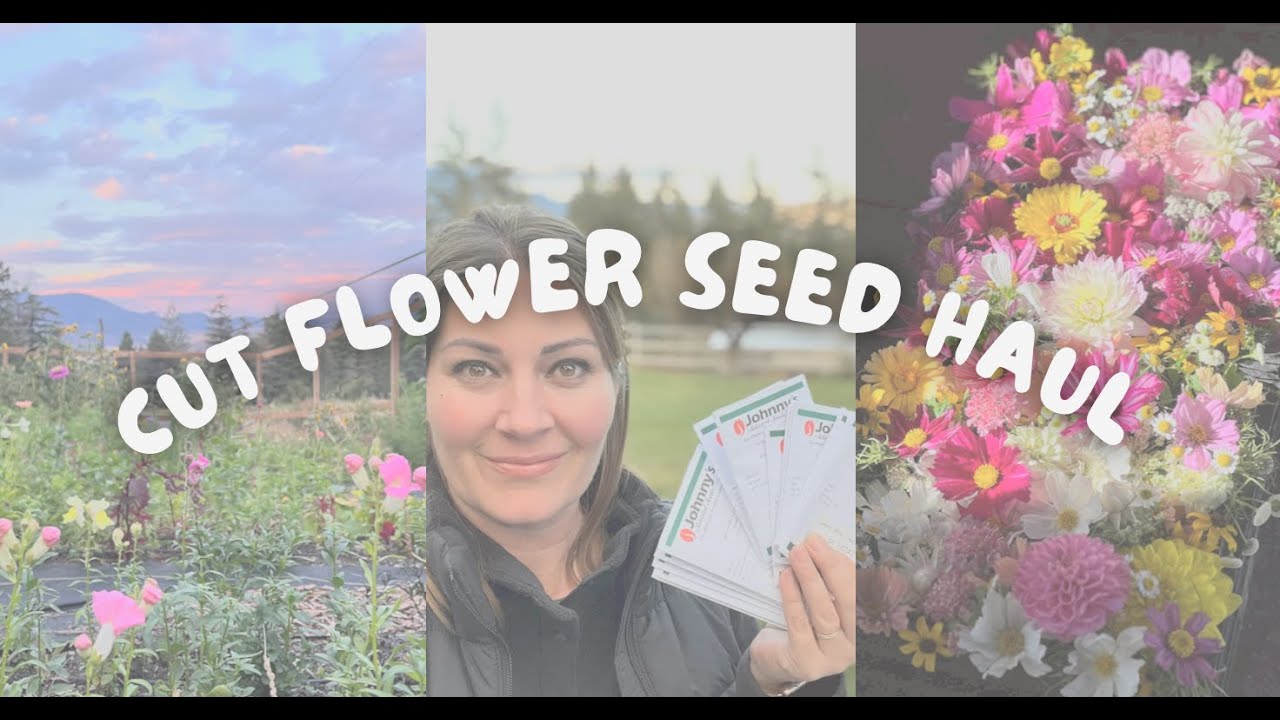 Cut Flower Seed Haul || Carissa's Garden || Sharing my seed haul for my ...