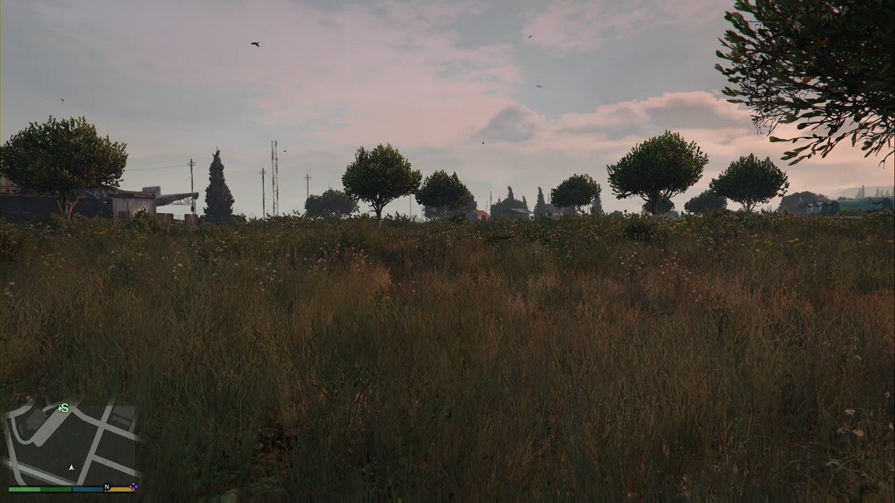 Grand Theft Auto V - PS4 Beautiful Nature And Vegetation HD - YouTube