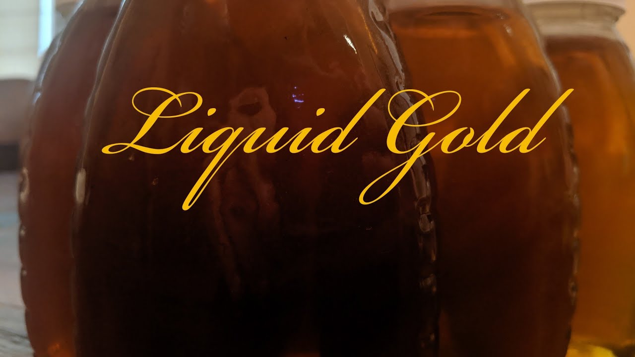 Liquid Gold - YouTube
