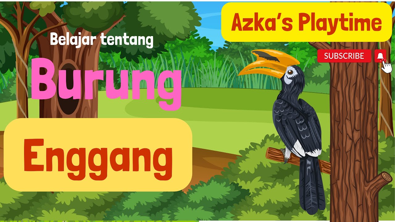 Belajar mengenal nama Burung Enggang || Menyenangkan dan Belajar ...