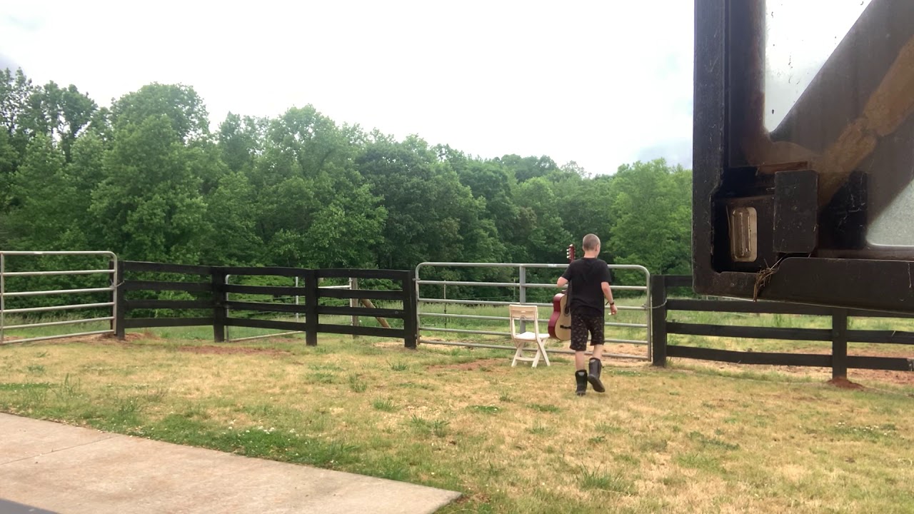 Cows Loves LED Zeppelin - YouTube