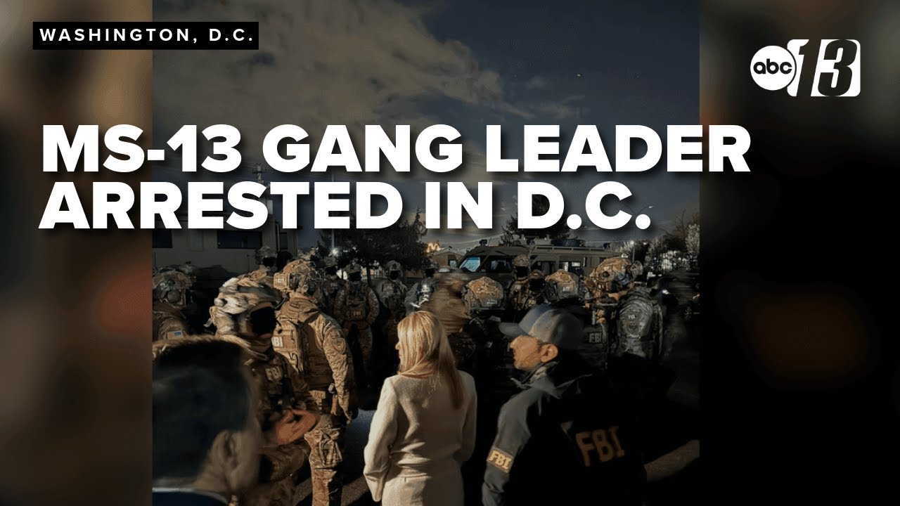 Top MS 13 leader arrested in Virginia, FBI says - YouTube