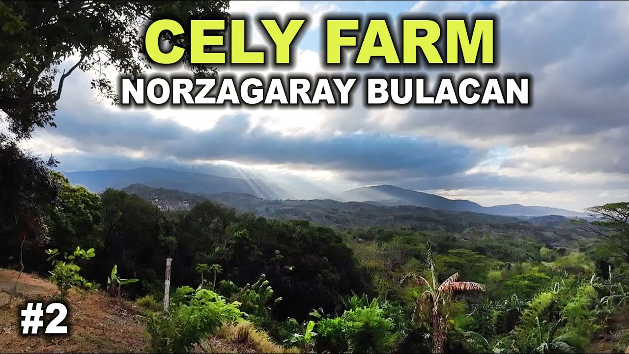 Overnight stay at Cely Farm - YouTube