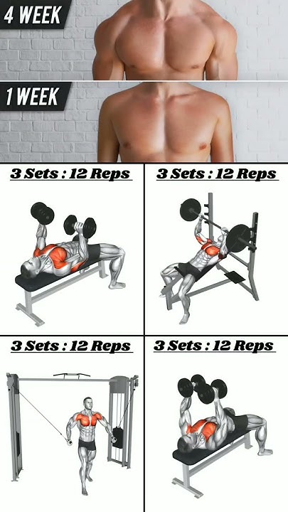 The ONLY 4 Chest Exercises You Need To Build Muscle (Dumbbells Only!) #shorts #viralshorts # ...