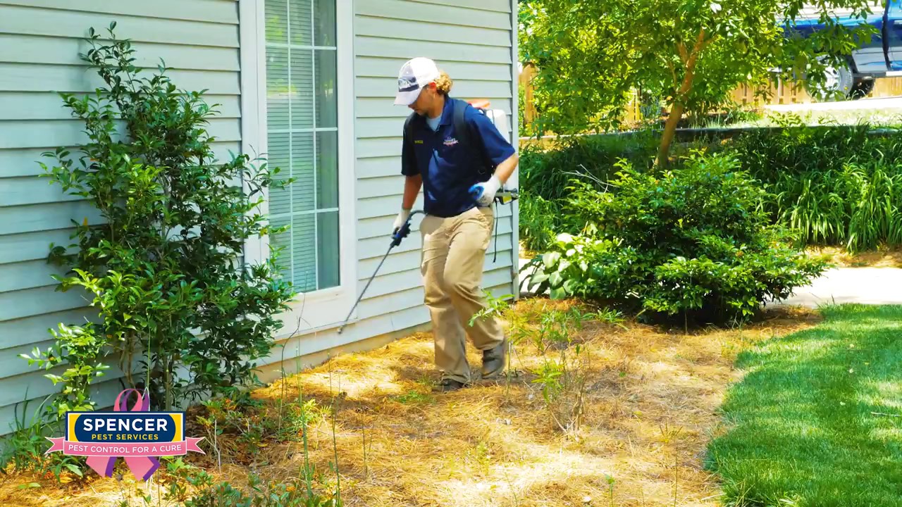 Spencer Pest Services Pest Control Bundles - YouTube