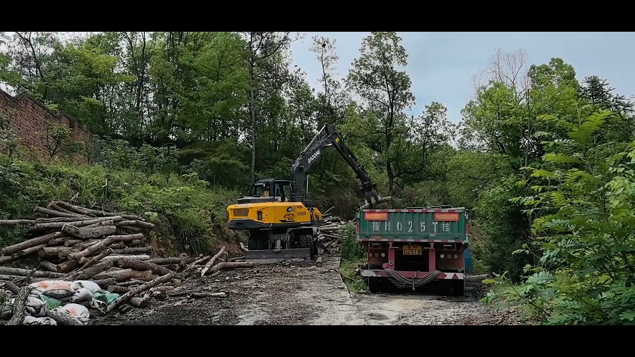 BD110E wheel excavator with grapple grabber for wood log timber tree ...