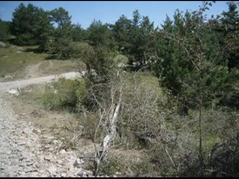 Keltepenin Taslari Bektas Yilmaz Cevrecik(Tinyaba) Slideshow