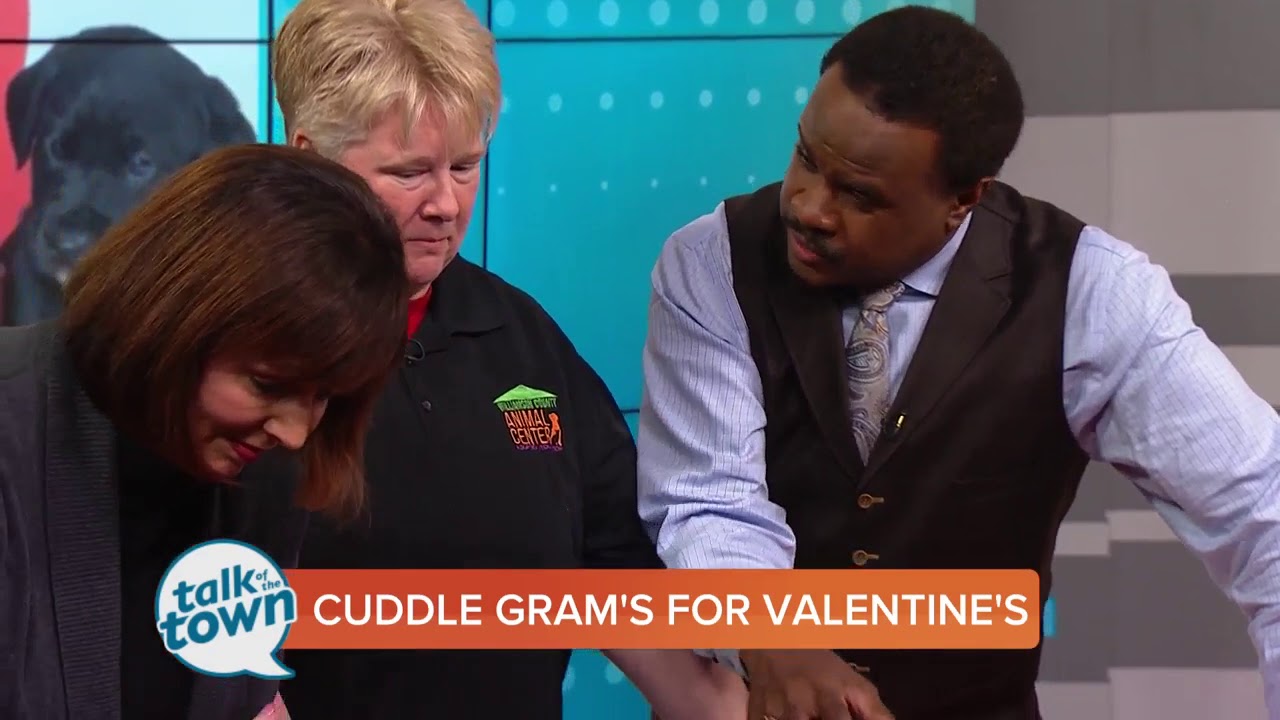 Cuddle Grams for Valentine's Day - YouTube