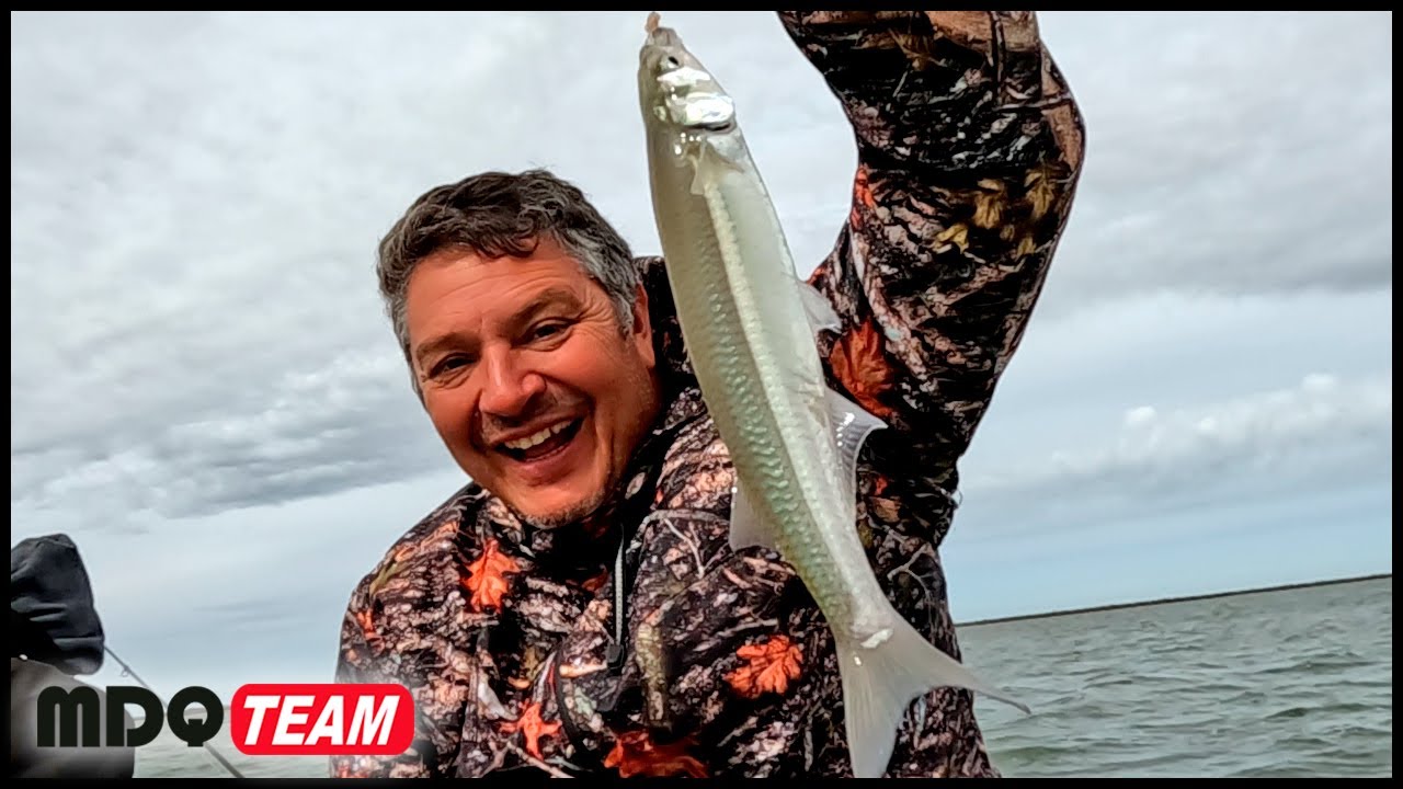 PESCA DE PEJERREY - GRAN CARDUMEN EN ESTA LAGUNA - YouTube