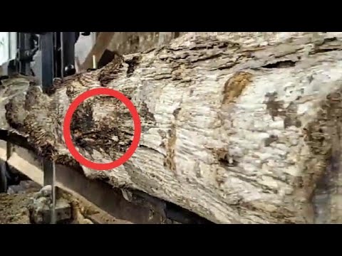 küçük tahta parçalarını hokkabazlık yaparak yaprak başına 200 ABD doları değerinde tahtalar haline