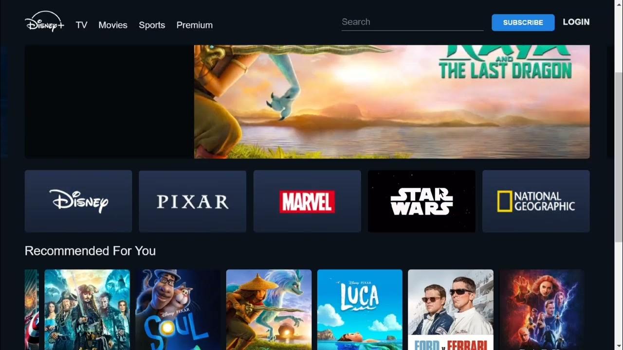 Disney Hotstar Clone Using Html Css Javascript With Free Source Code And Zip File In