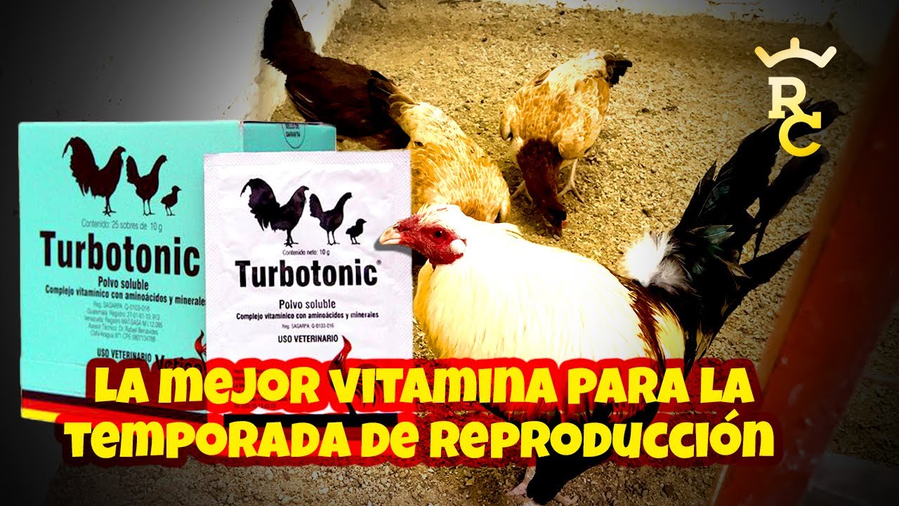 Vitaminas para Gallos / Temporada de reproducción / Turbotonic el ...