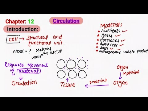 Introduction to Circulation|Circulatory System|Lec01|Bio 1st year ...