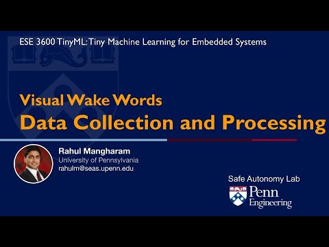 11.3 VWW Data Collection and Processing - YouTube
