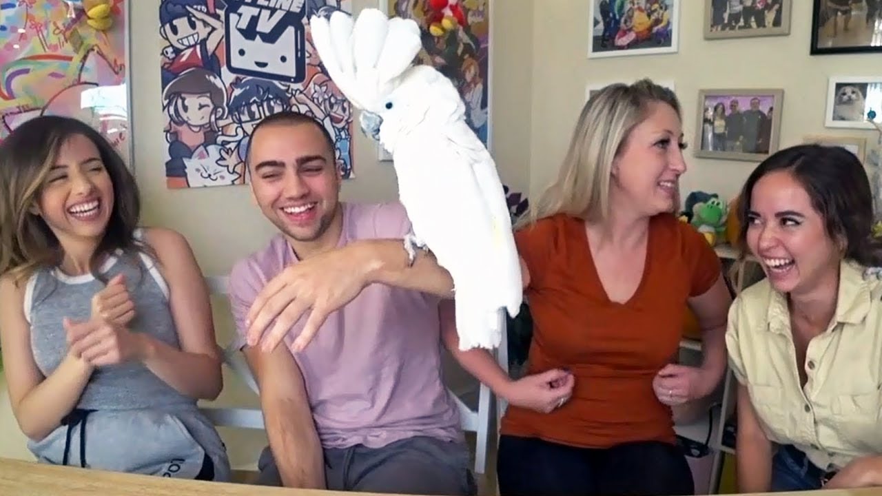 Maya Higa & Matthew hanging out with animals and friends. Mizkif ...