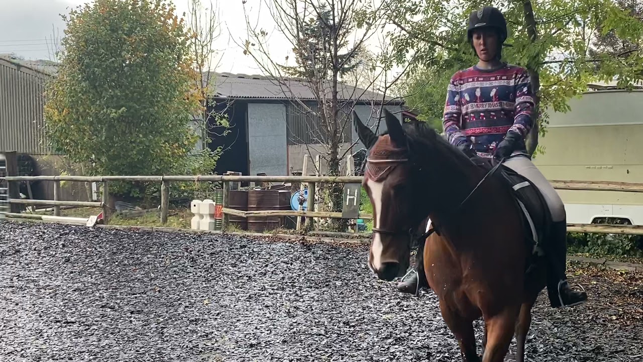 Christmas Cracker Novice D11 Dressage Test Georgia Wyllie & Maescrofta ...