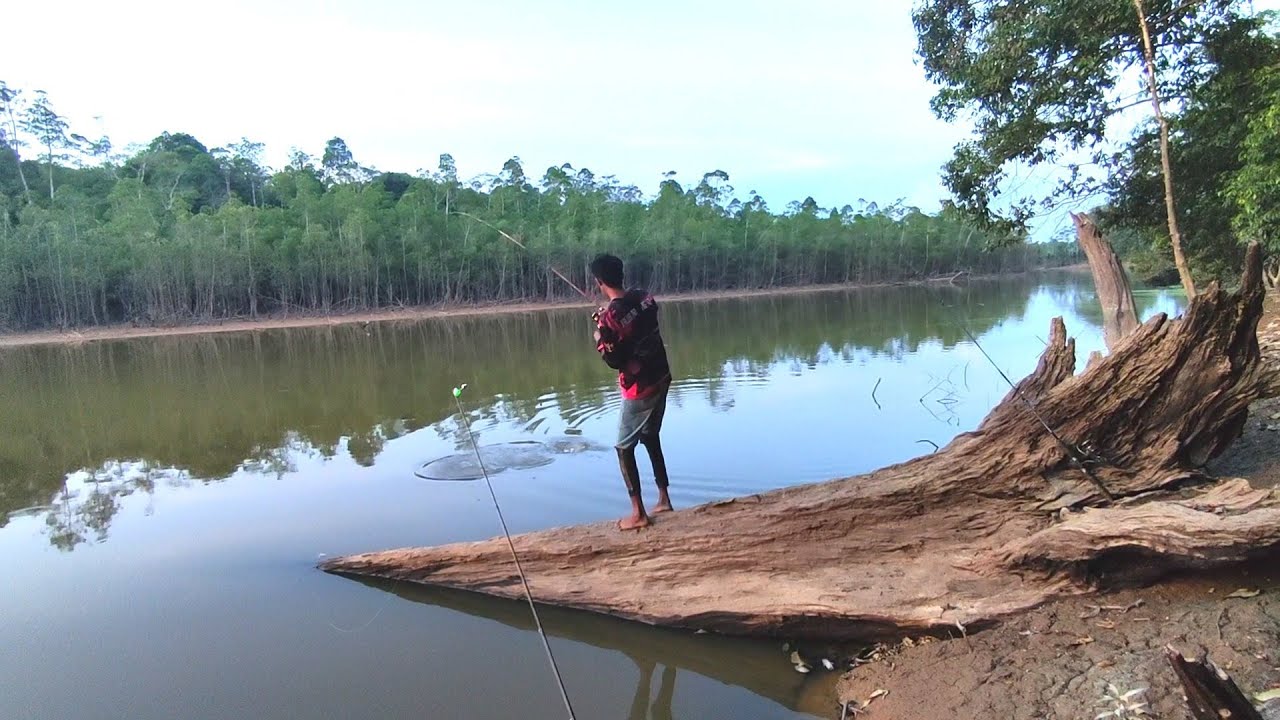 MEMANCING IKAN DI SUNGAI ANGKER TERNYA BEGINI CARANYA IKAN BESAR INI ...