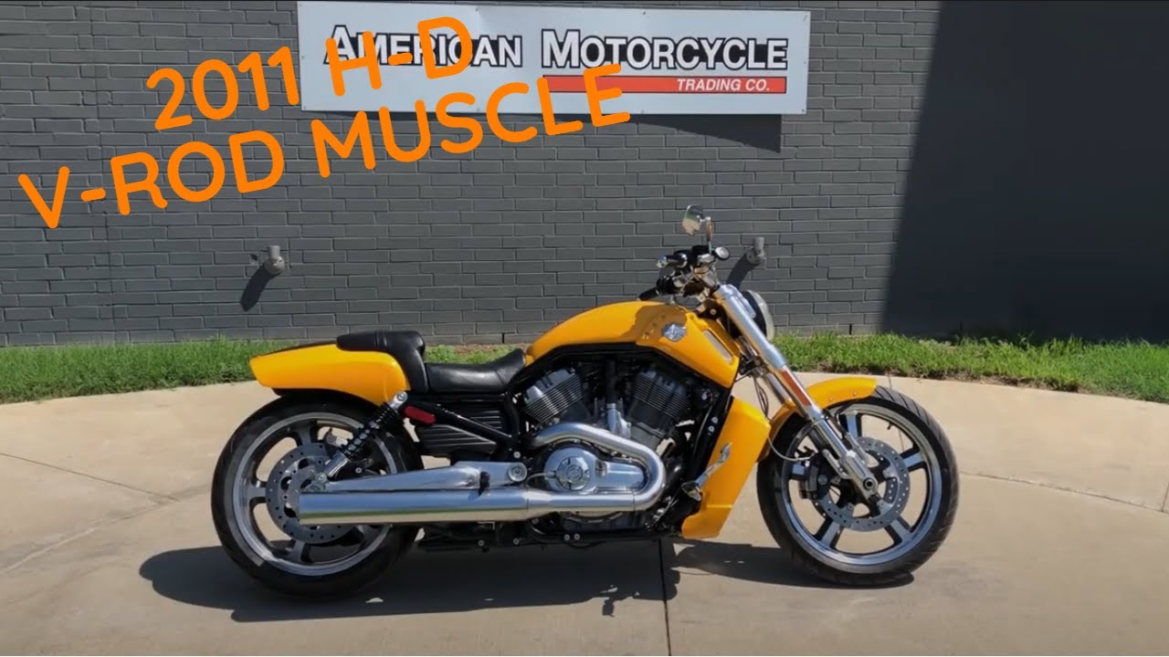 802064 2011 HARLEY-DAVIDSON V-ROD MUSCLE - VRSCF - YouTube