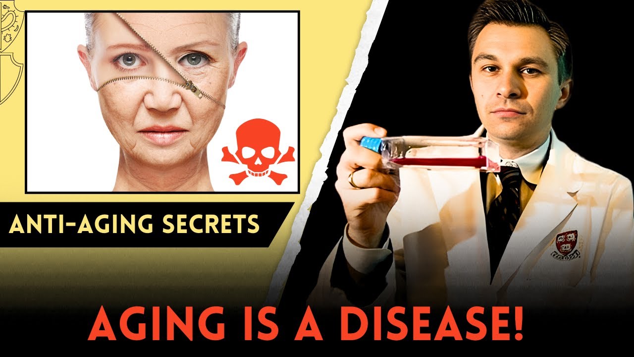Reverse Aging: What To Eat And When To Eat For longevity | David ...