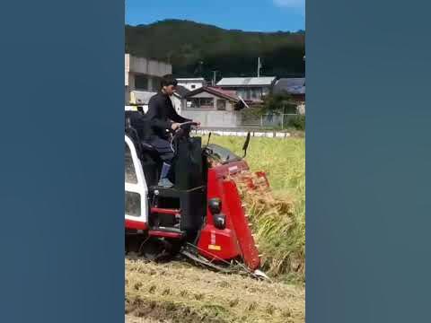 YH448Aの代車にて稲刈り🌾🌾 - YouTube